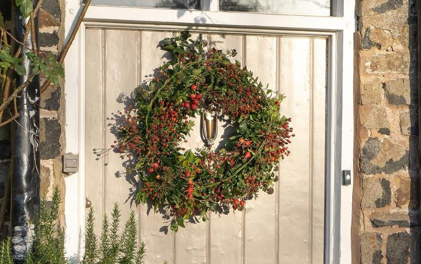 Using Rose Hips for Christmas | David Austin
