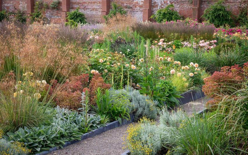 Perennials With Roses