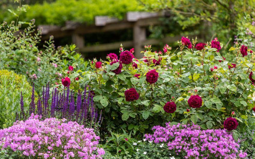 Rose Garden Border Ideas 28 Amazing Garden Edging Ideas For The Most