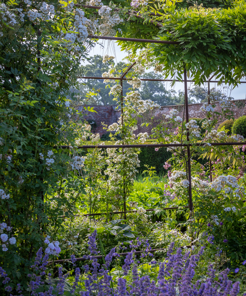 Plant Roses on Large Structures