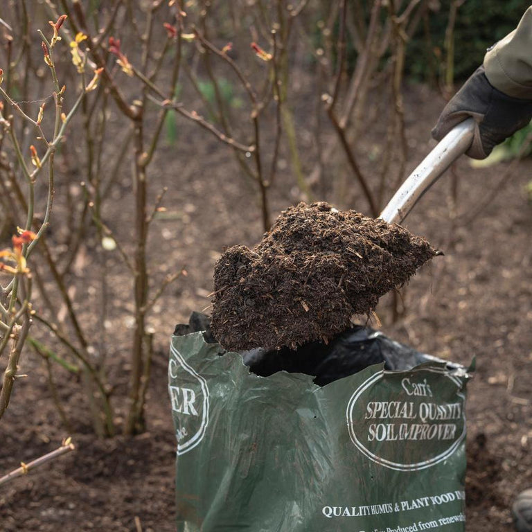 Mulching Roses in Spring | David Austin