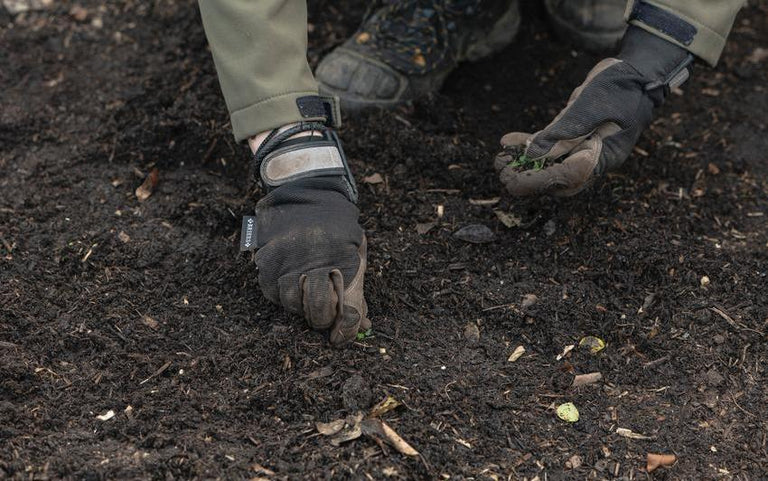 Using the Right Feed for Your English Roses | David Austin