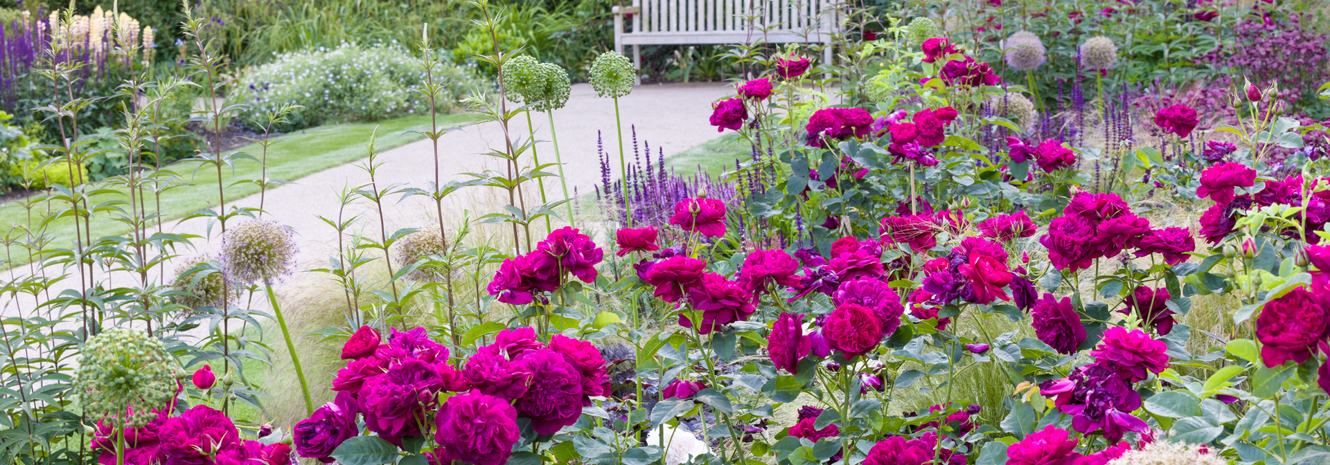 Get to know - Darcey Bussell