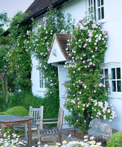 Front of a house
