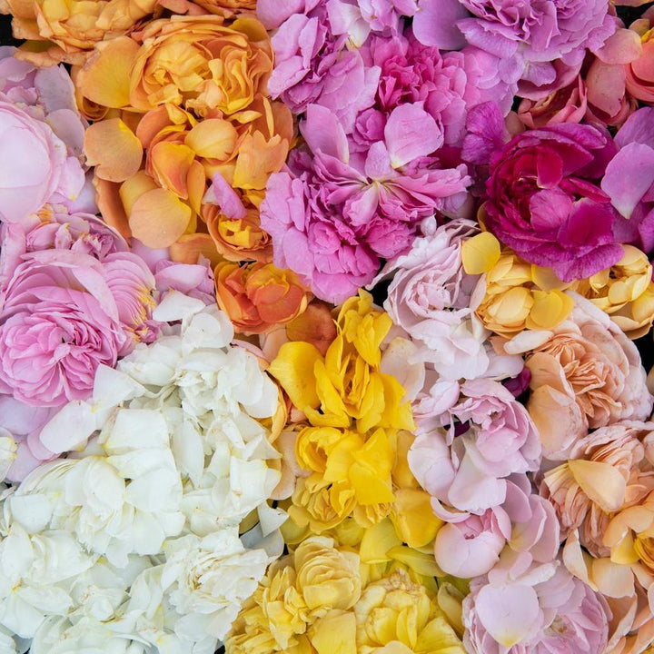 What to Do with Rose Petals After Deadheading | David Austin