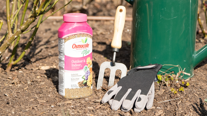Using the Right Feed for Your English Roses | David Austin