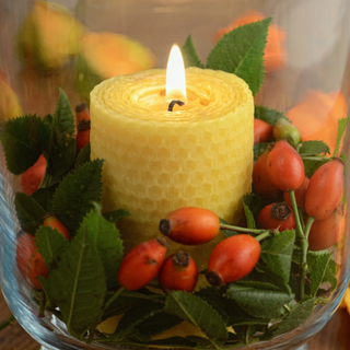 James Galway | English Climbing Rose | David Austin Roses