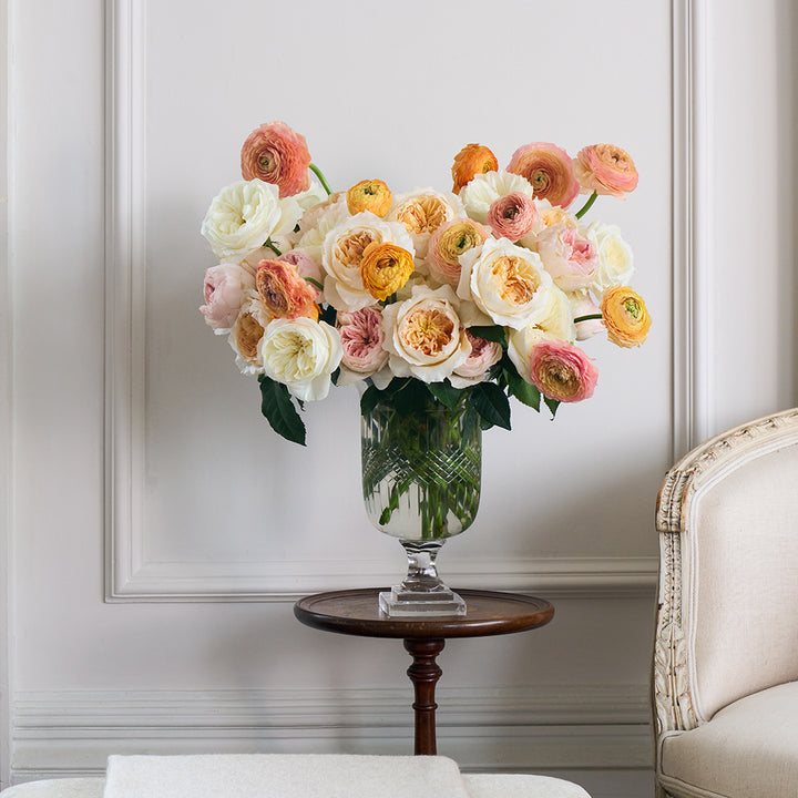 Mary Delany | English Climbing Rose | David Austin Roses