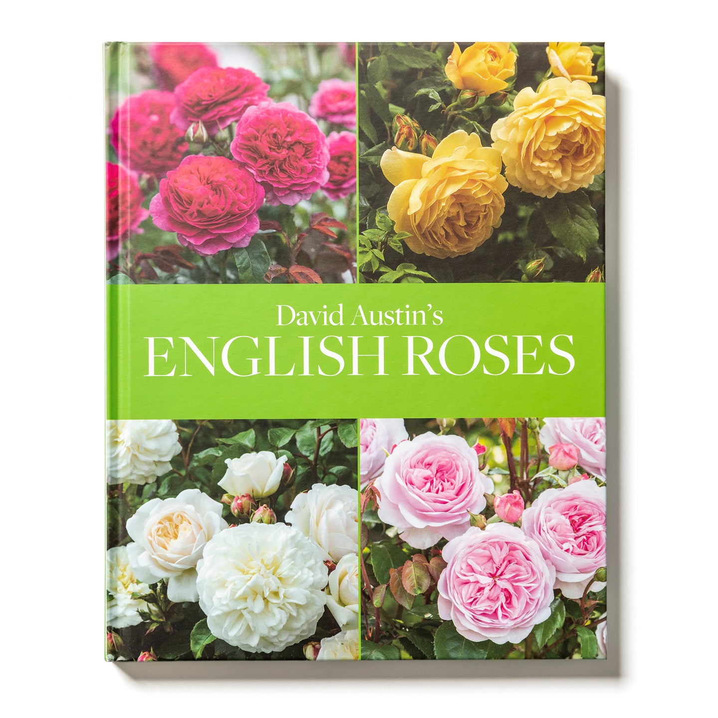 David Austin's English Roses - Books - Gifts